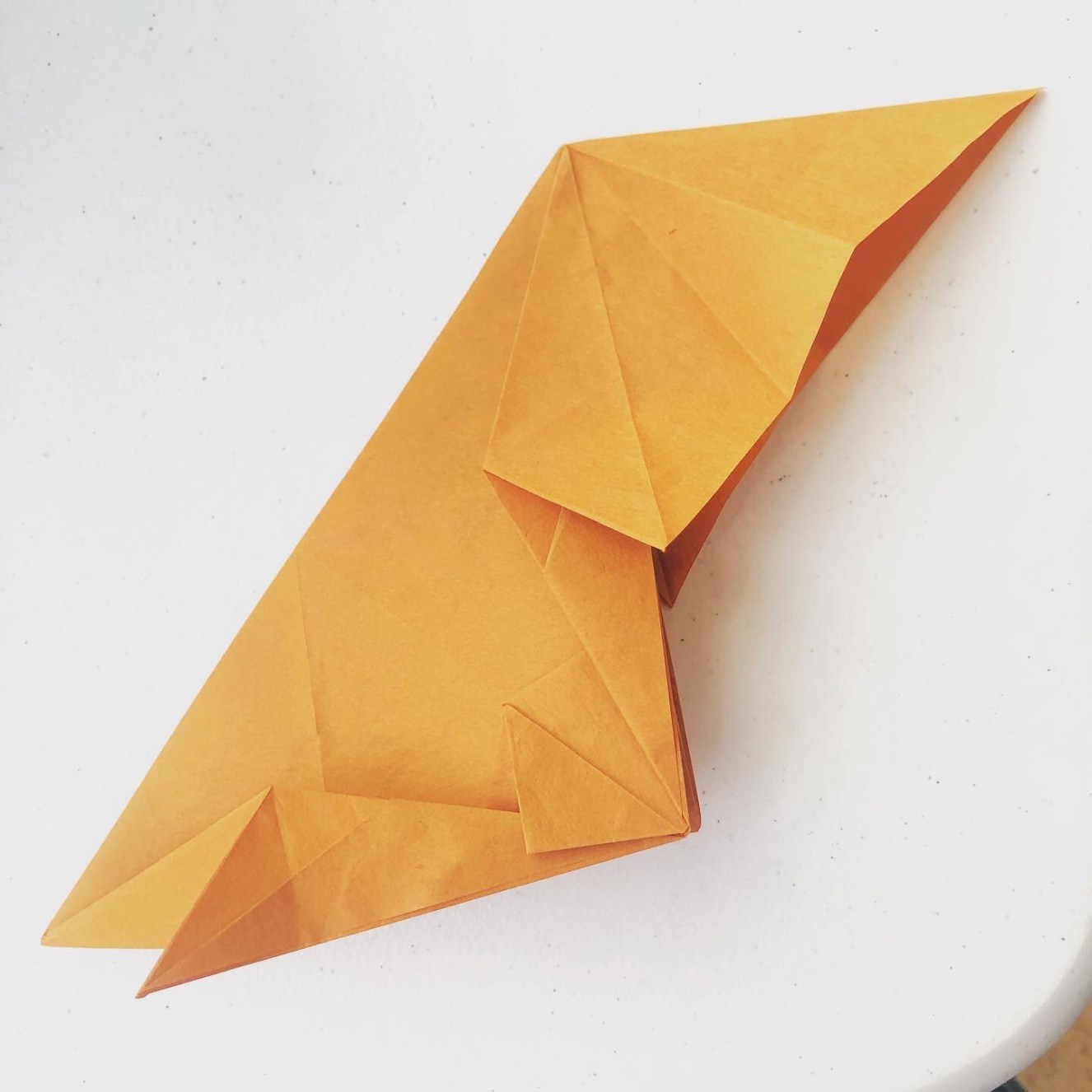 Spring, social distancing, and an origami cocker spaniel – The Frill Seeker