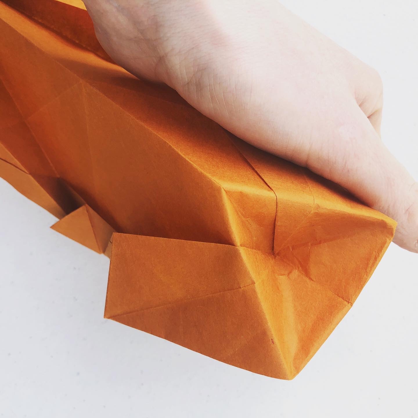 Spring, social distancing, and an origami cocker spaniel – The Frill Seeker