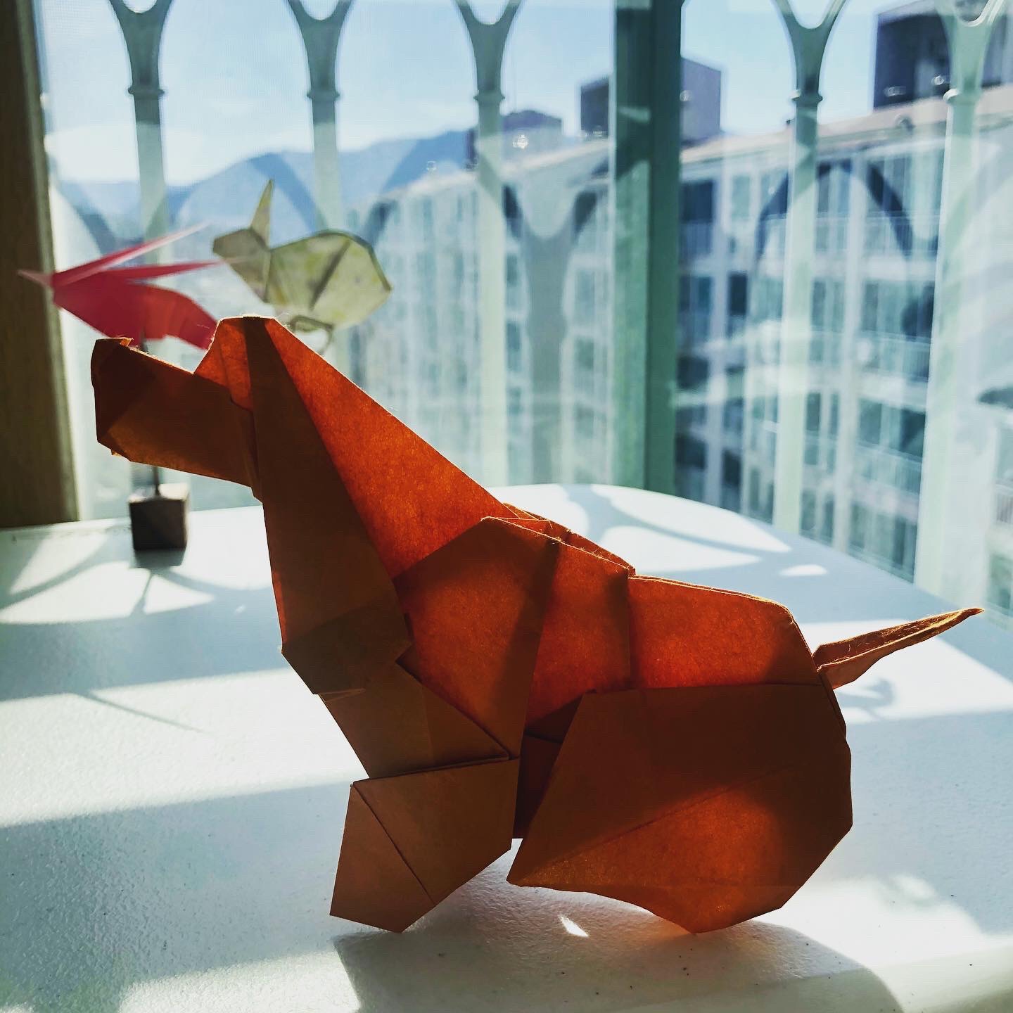 Spring, social distancing, and an origami cocker spaniel – The Frill Seeker