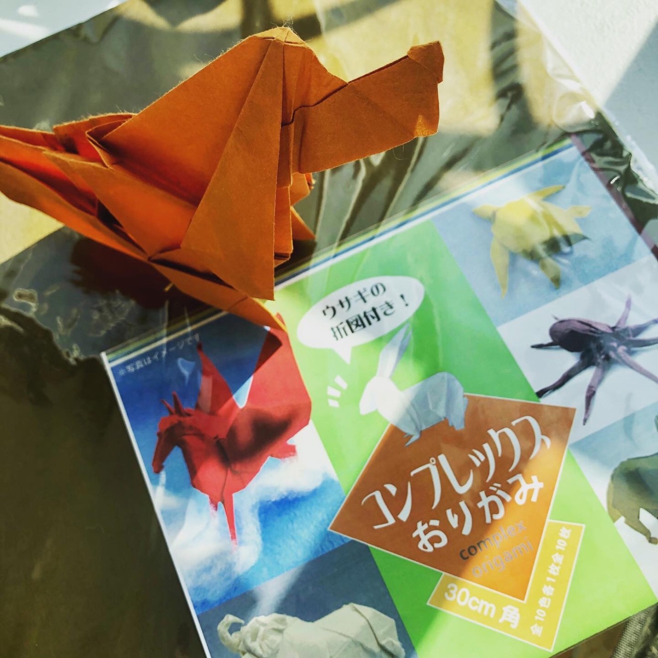 Spring, social distancing, and an origami cocker spaniel – The Frill Seeker