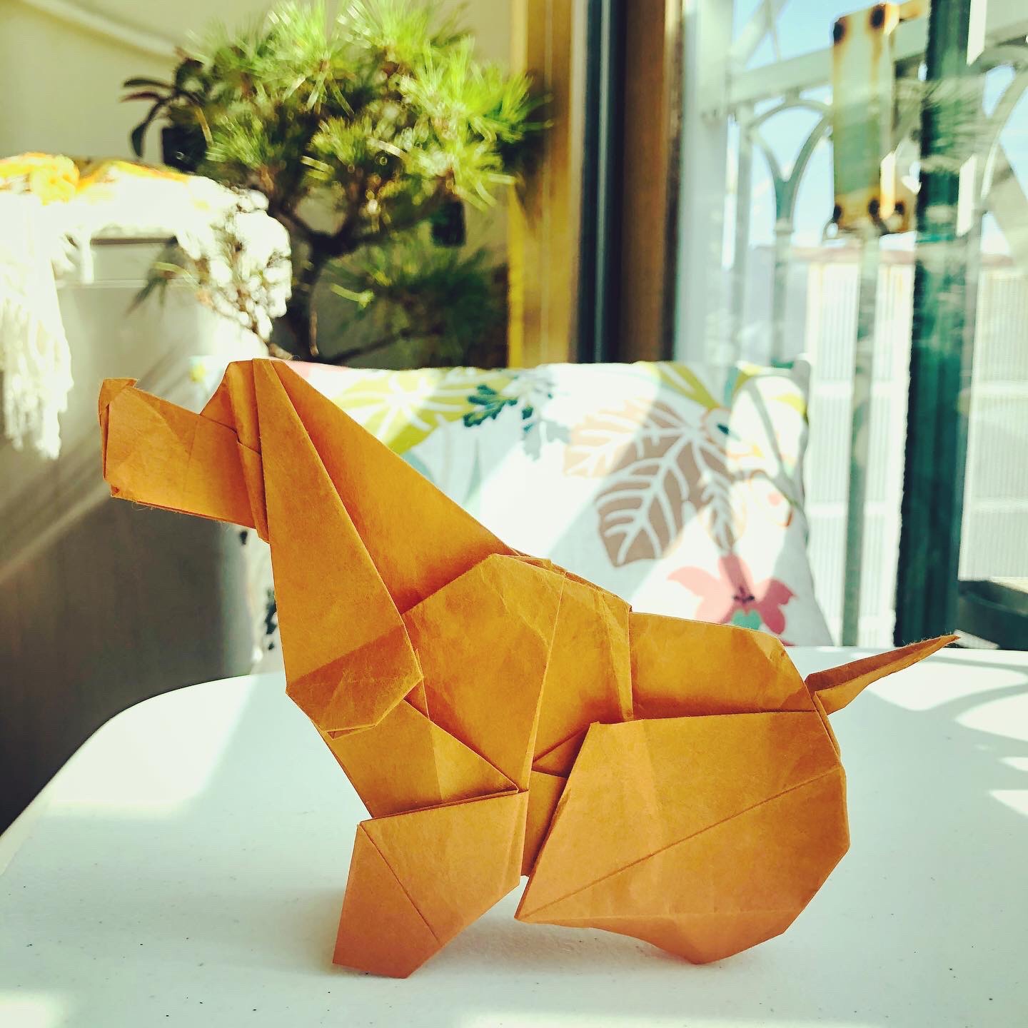 Spring, social distancing, and an origami cocker spaniel – The Frill Seeker