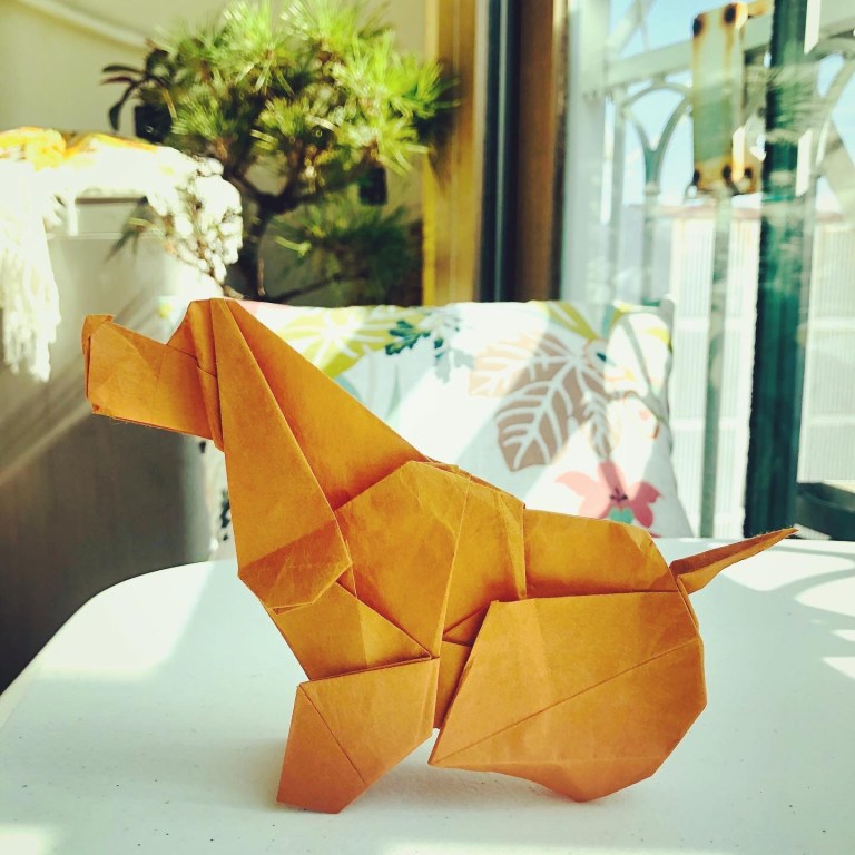 Spring, social distancing, and an origami cocker spaniel – The Frill Seeker