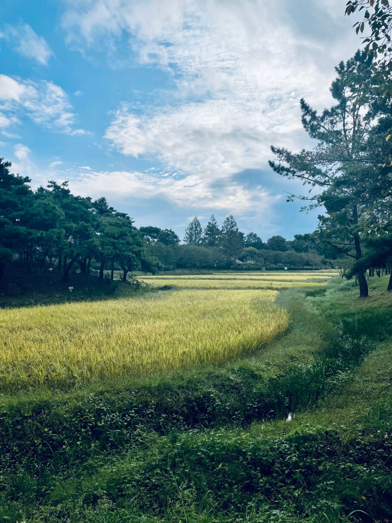 New tasseled shawl; Autumn views of my neighborhood – The Frill Seeker