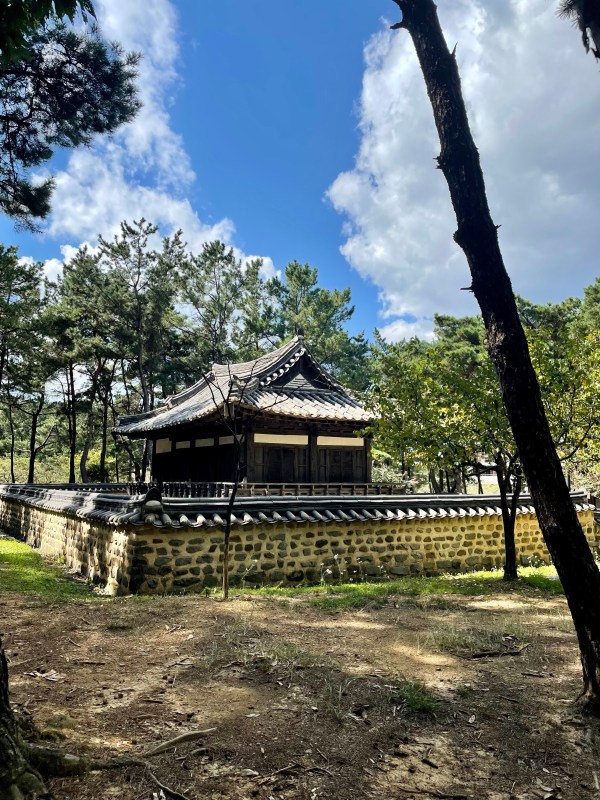New tasseled shawl; Autumn views of my neighborhood – The Frill Seeker